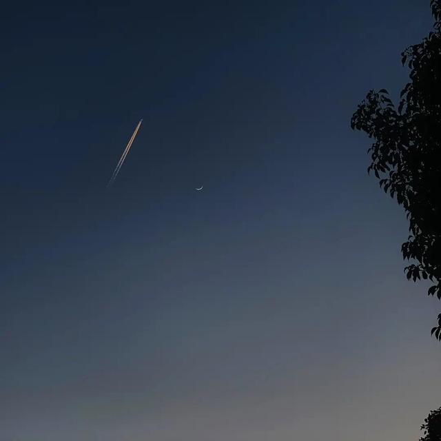 Feishu Open Platform